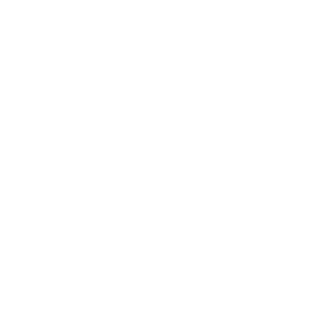 CFA LYON - IFIR | Formations en apprentissage