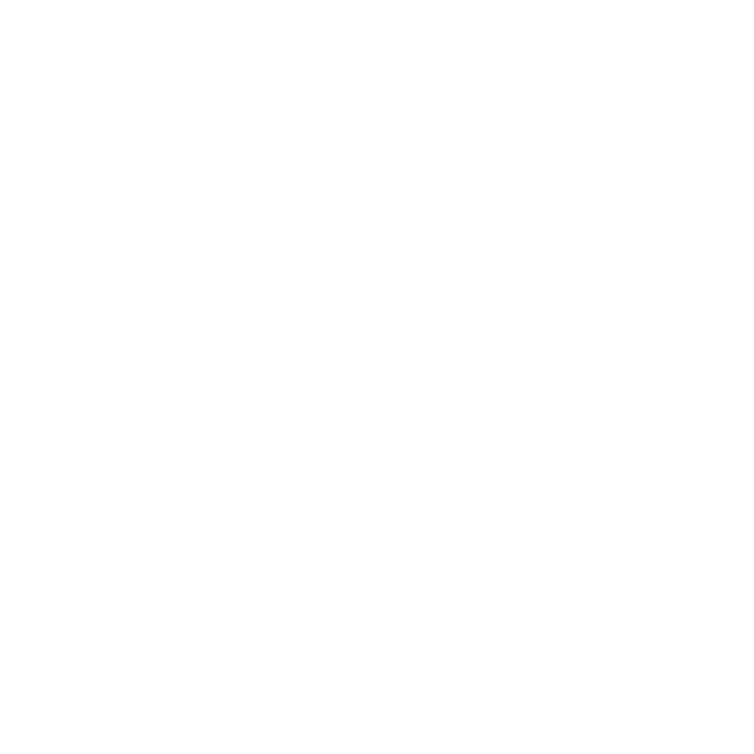 TITRE PROFESSIONNEL Conseiller De Vente